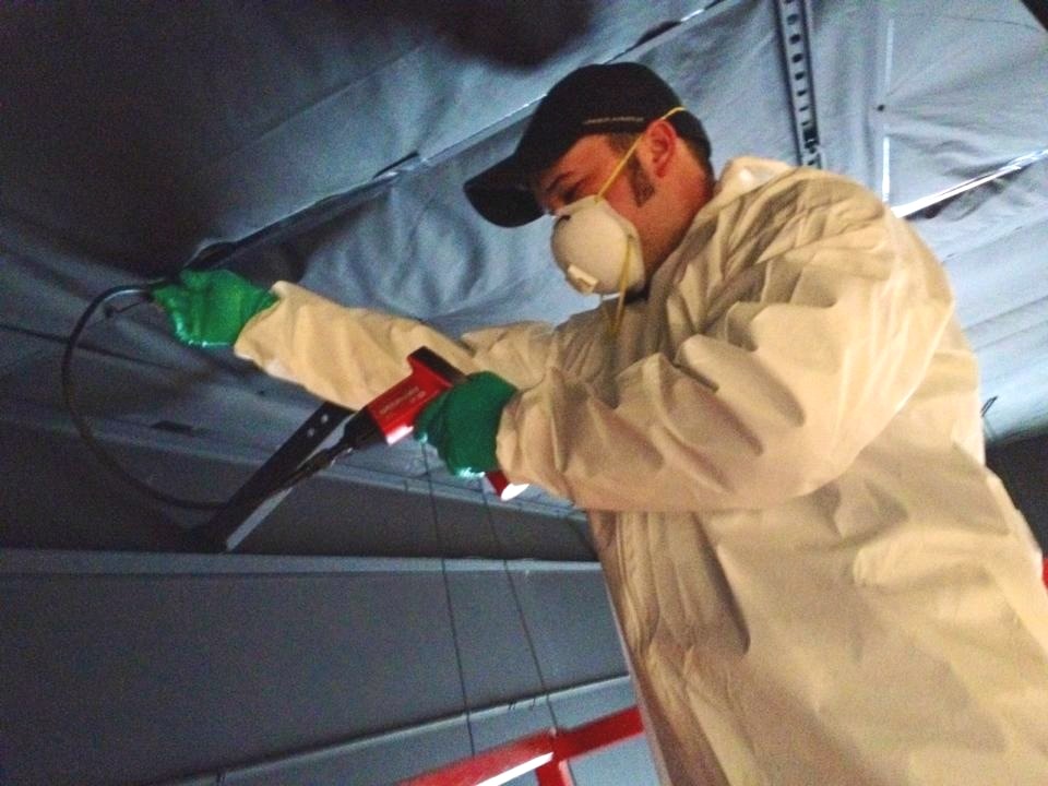 Wildlife Inspections, Home And Commercial